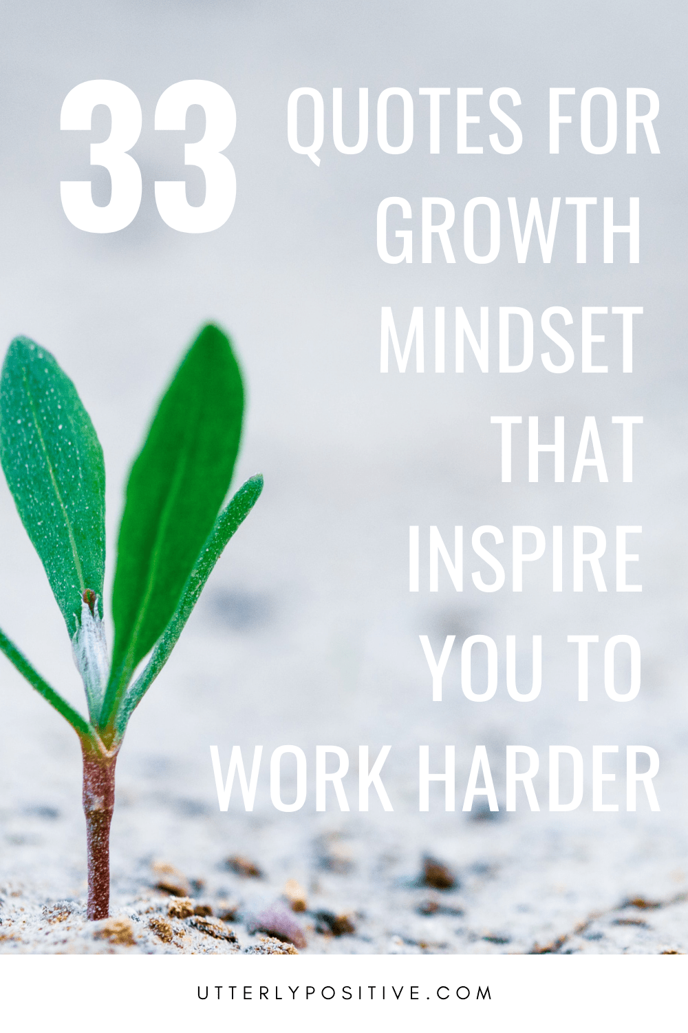 33 Quotes For Growth Mindset That Inspire You To Work Harder