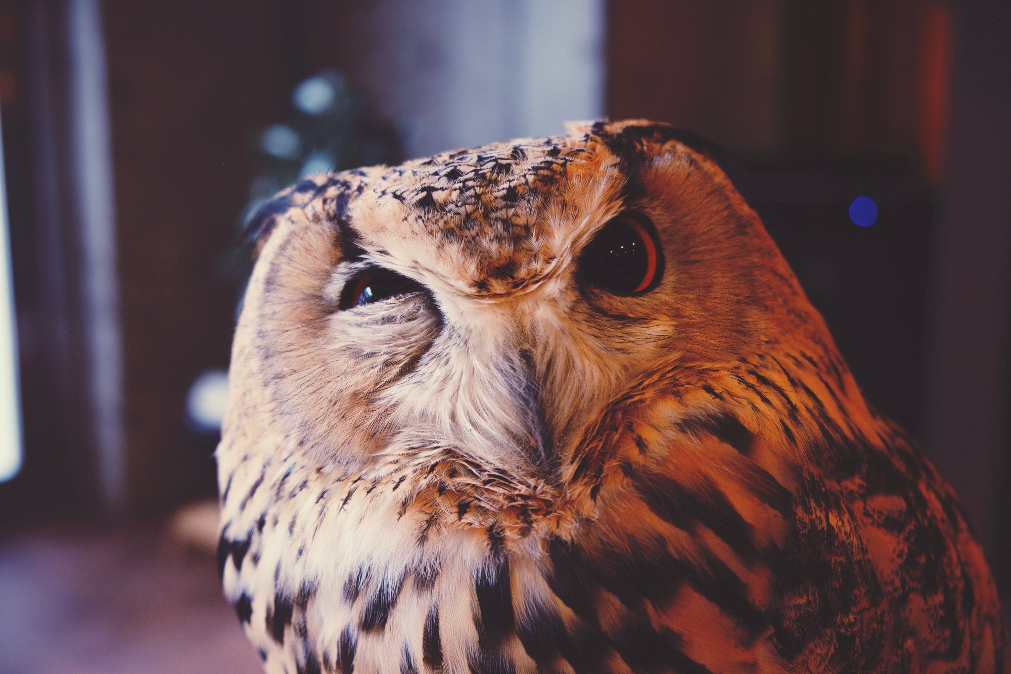 Silly, Inspiring, And Fun Facts About Mondays You Need To Know