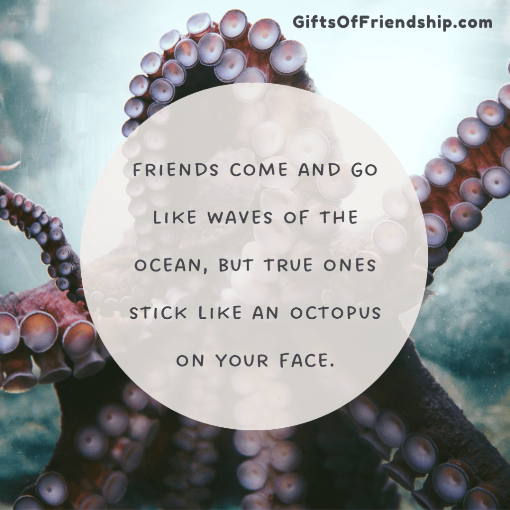 Crazy Best Friend Quotes